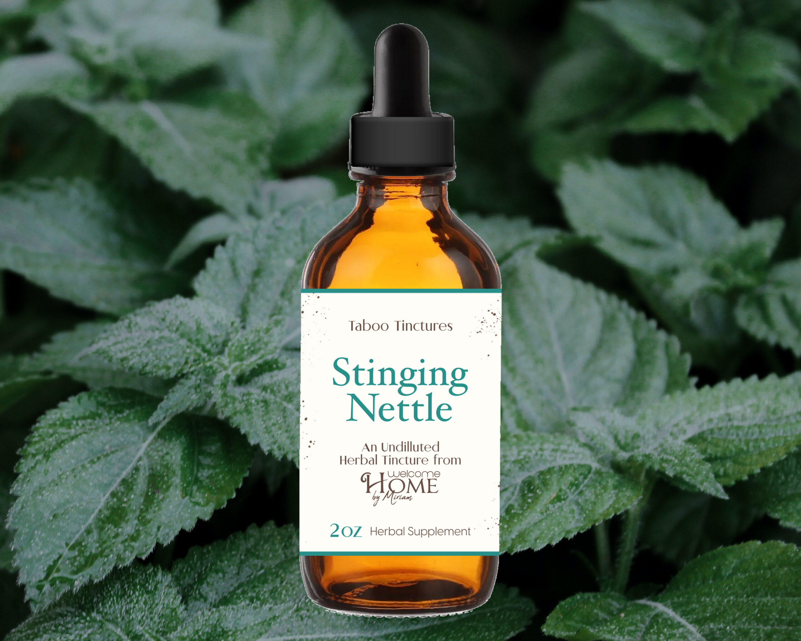 Stinging Nettle Tincture - The Second Paradigm